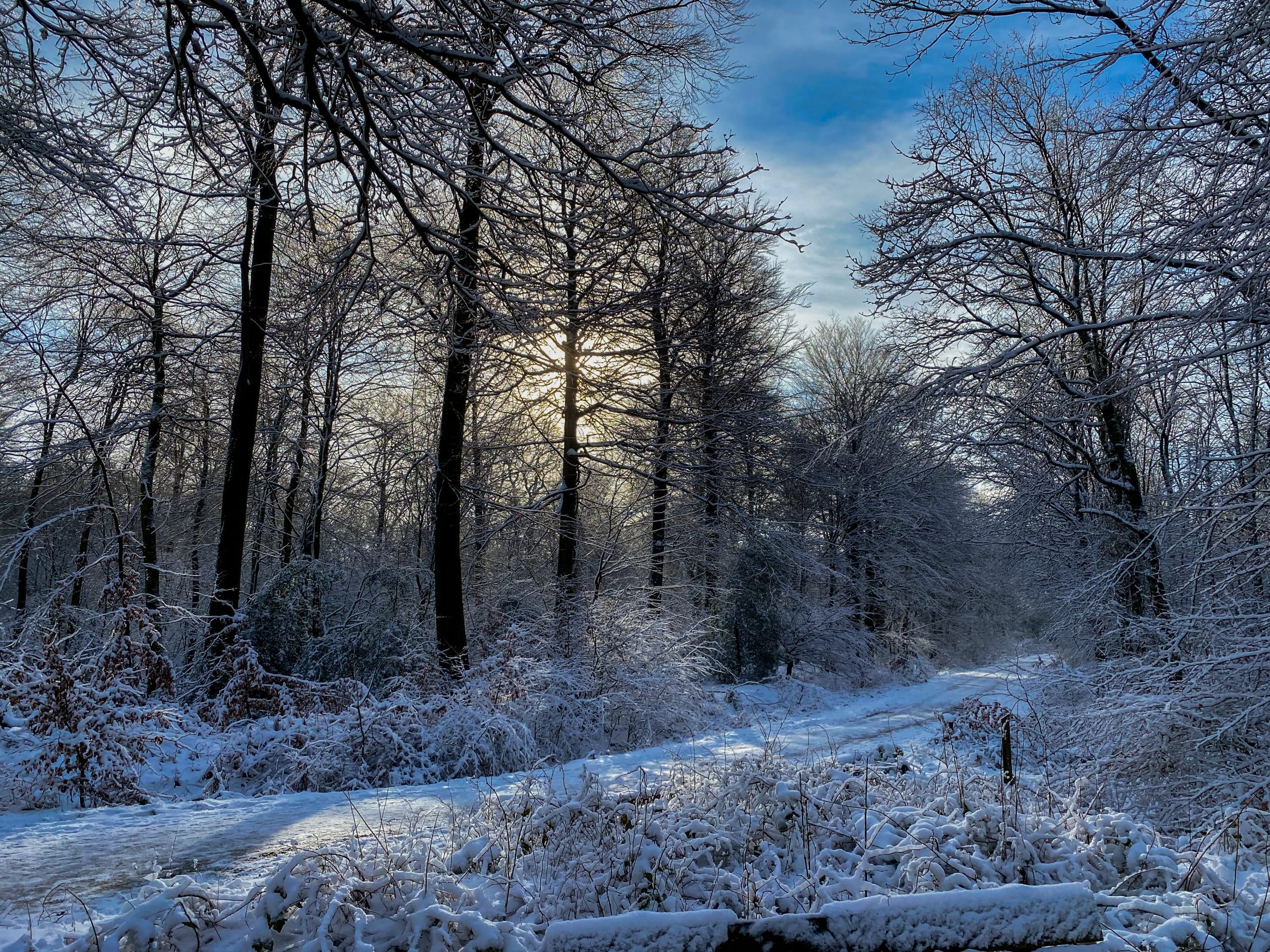 Exploring the Four Seasons in Germany - Hanseatic Connect Academy